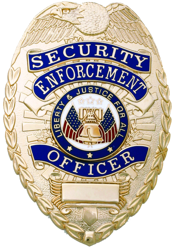 Blue Star Security – Brings Professional Security to your Professional ...